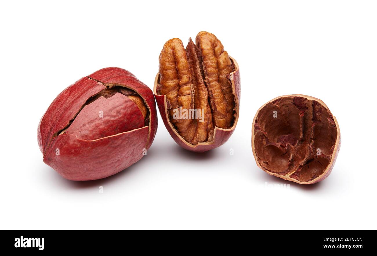 Pecan Isolated on White Background Stock Photo - Alamy