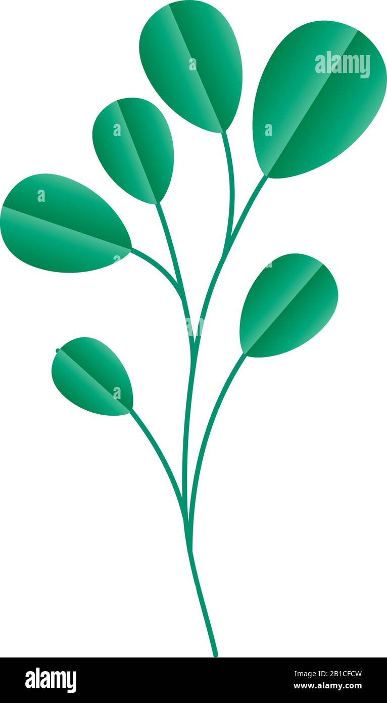 Isolated natural leaves vector design Stock Vector Image & Art - Alamy