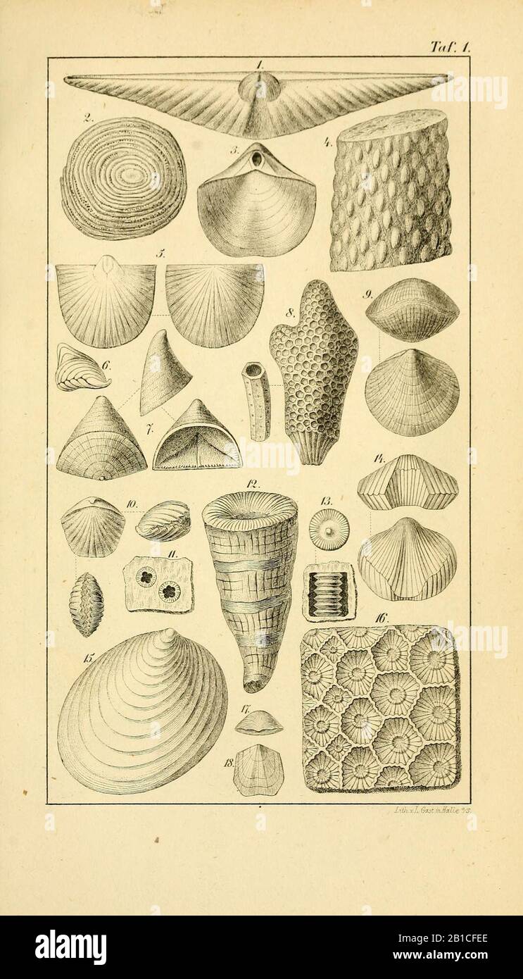 Gaea hi-res stock photography and images - Alamy