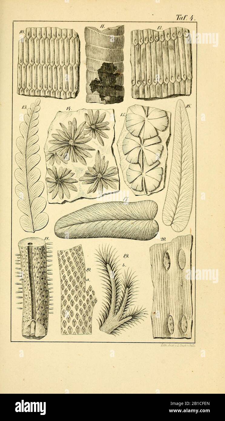 Gaea hi-res stock photography and images - Alamy