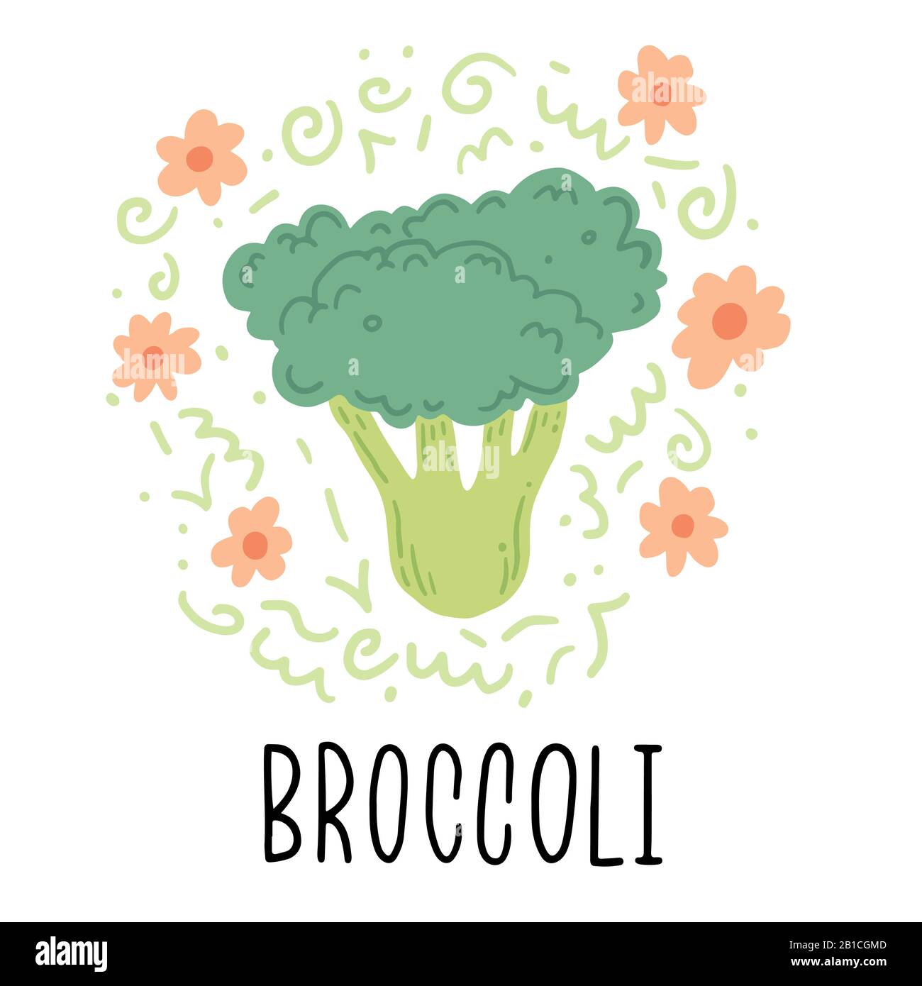 Broccoli vector illustration isolated. Concept of healthy food ...