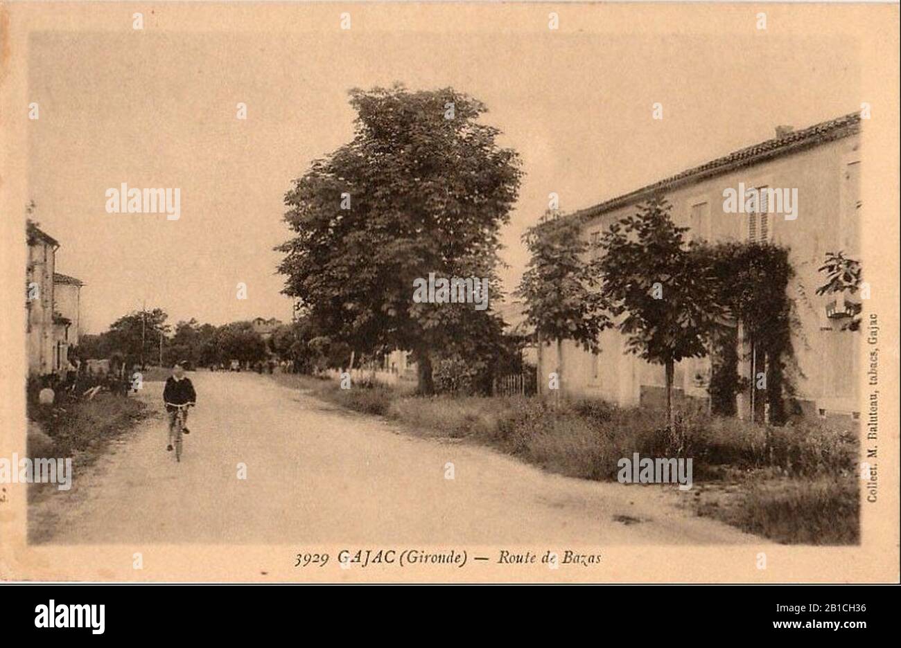 Gajac - route de Bazas Stock Photo - Alamy