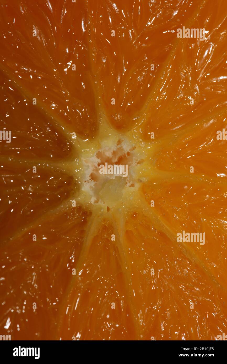 Cutted orange center macro macro background high quality Stock Photo ...