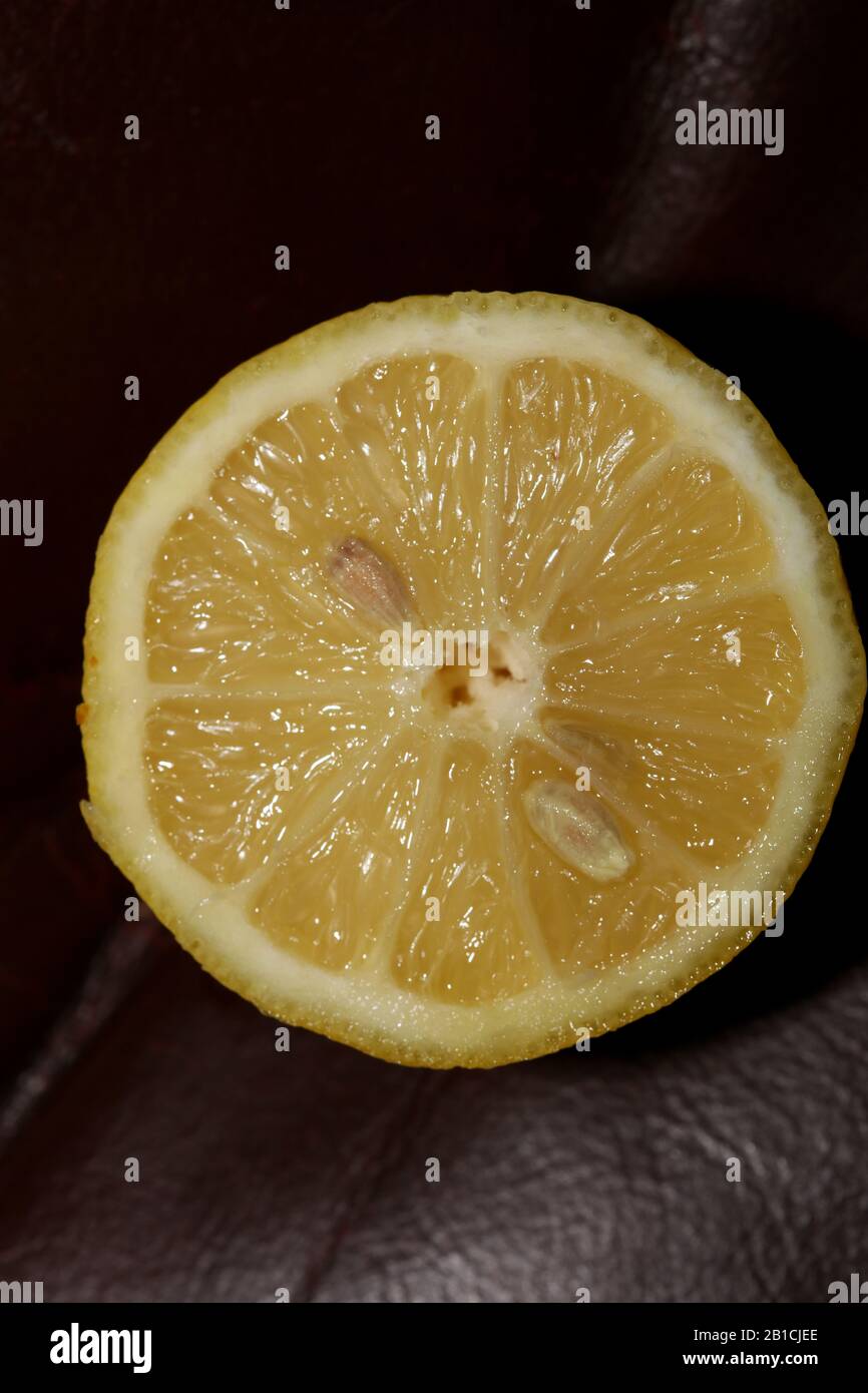 Lemon fruit cutted center close up background high quality Stock Photo ...