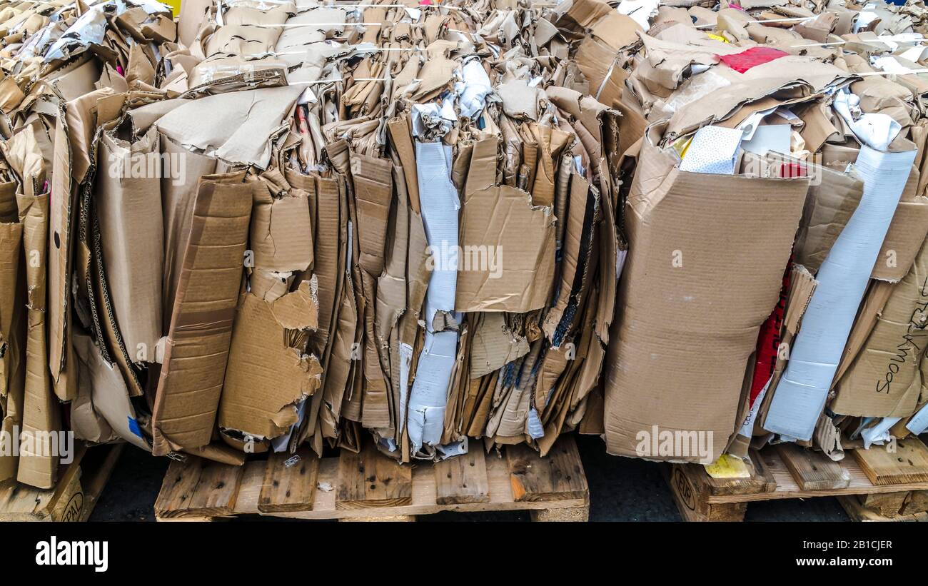 Pressed Cardboard Box on wooden pallets Stock Photo - Alamy