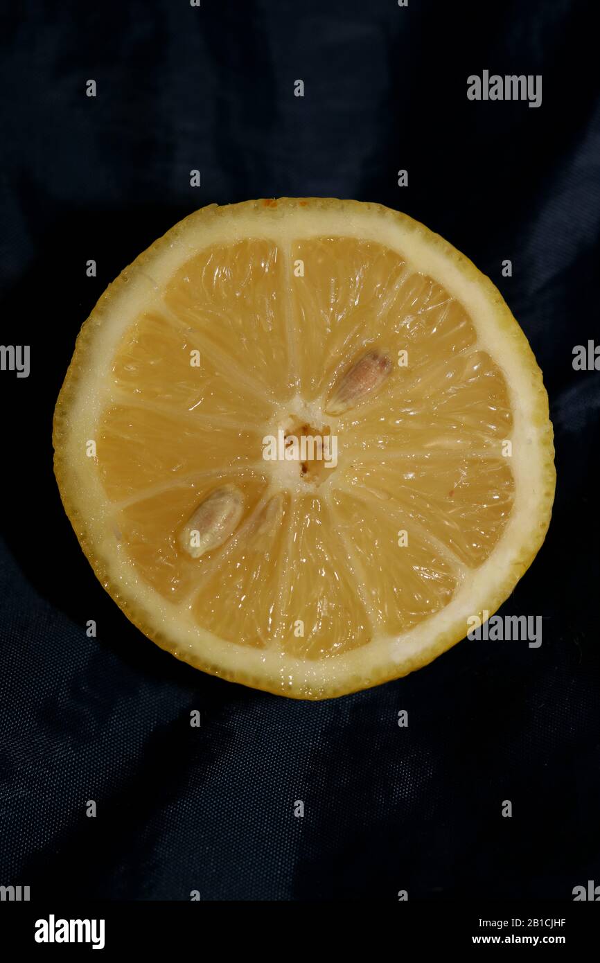 Lemon fruit cutted center close up background high quality Stock Photo ...