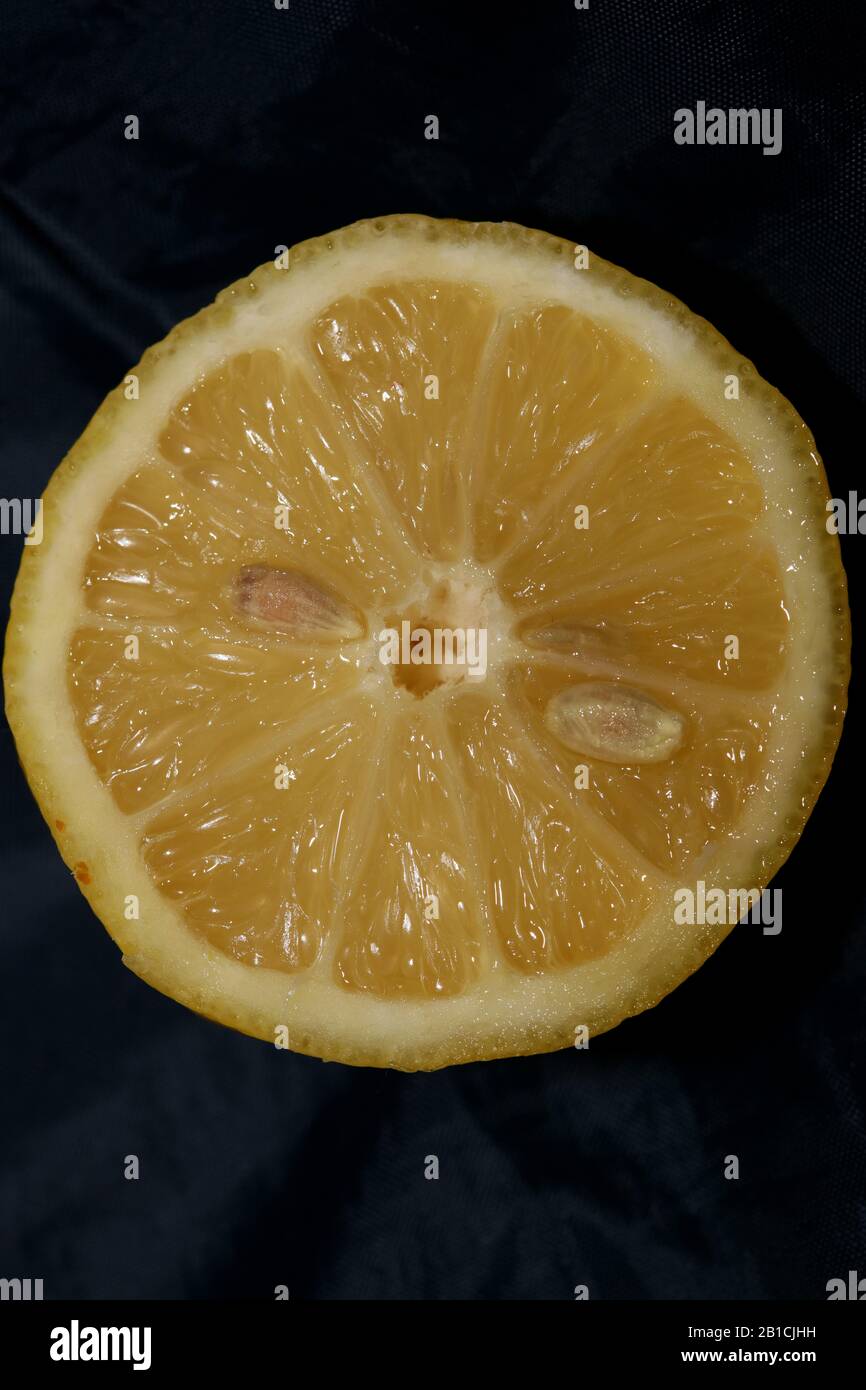 Lemon fruit cutted center close up background high quality Stock Photo ...
