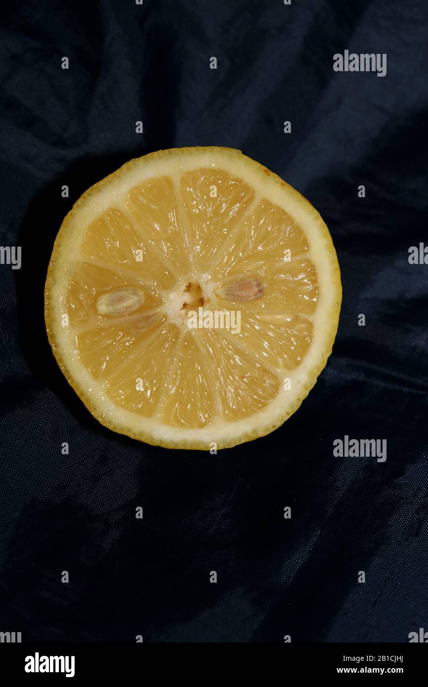 Lemon fruit cutted center close up background high quality Stock Photo ...