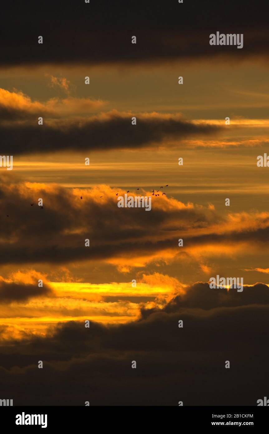 Holland clouds hi-res stock photography and images - Alamy