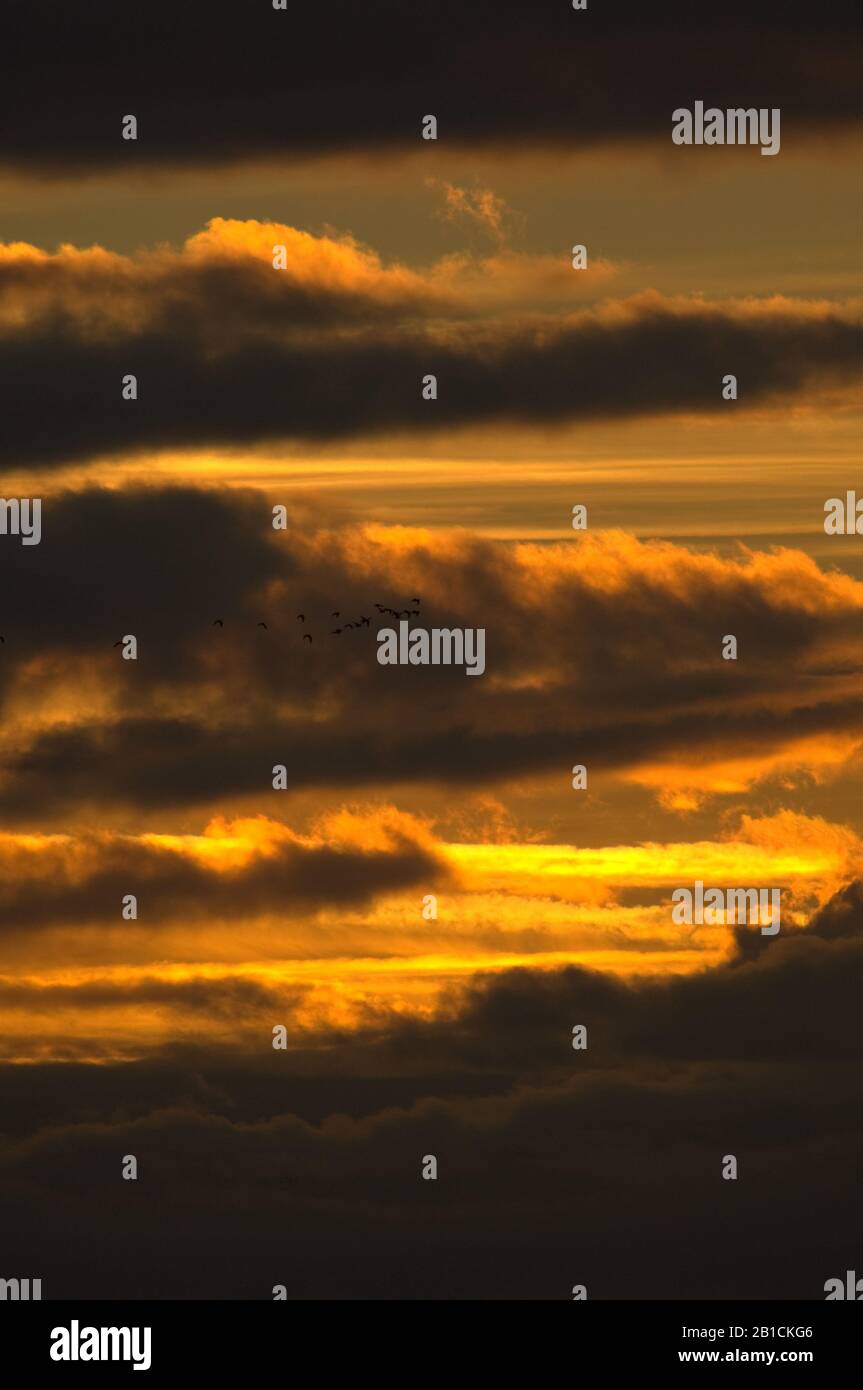 Holland clouds hi-res stock photography and images - Alamy