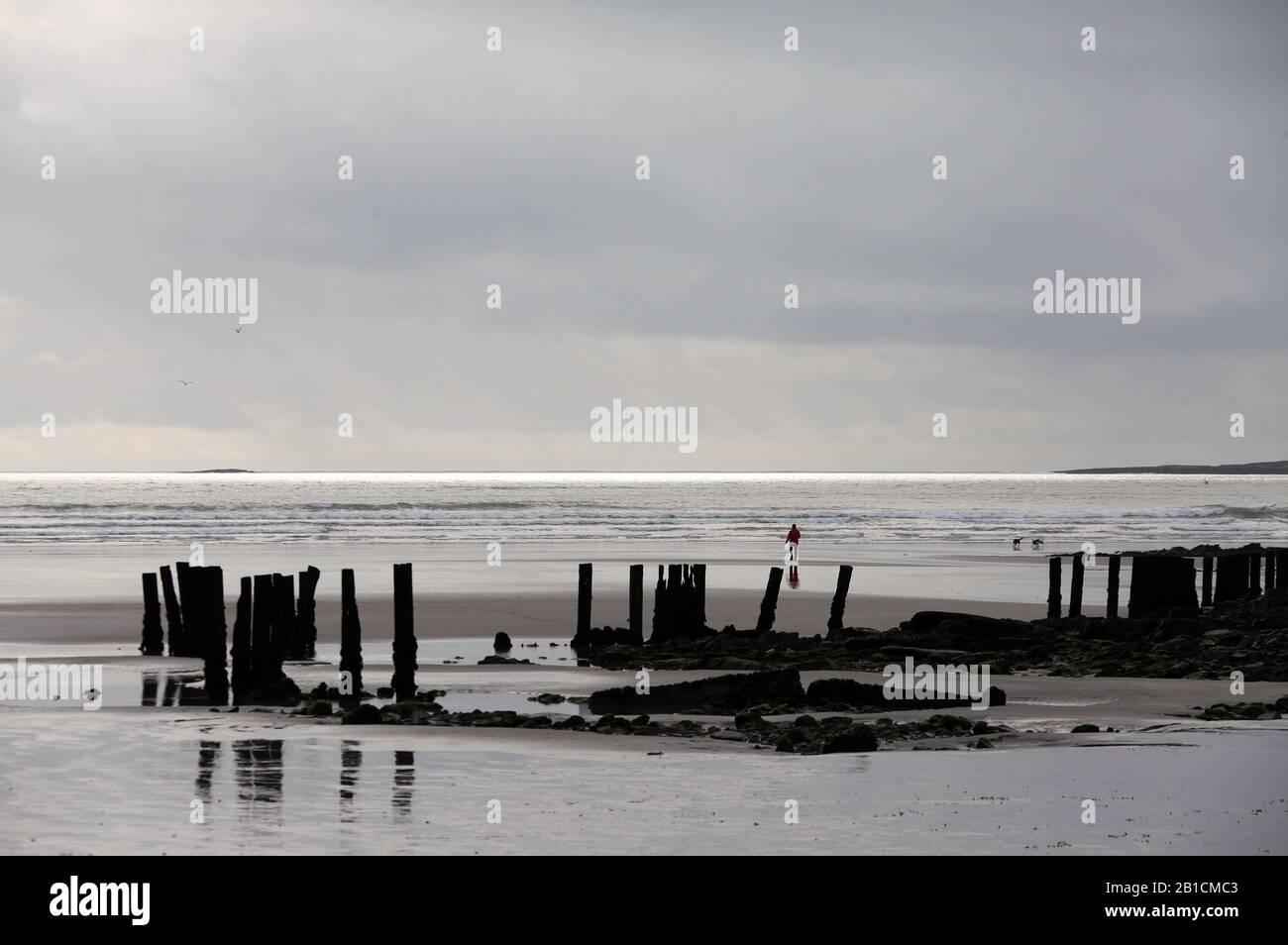 Winter beach walk at Harbour View Beach in Southern Ireland Stock Photo ...