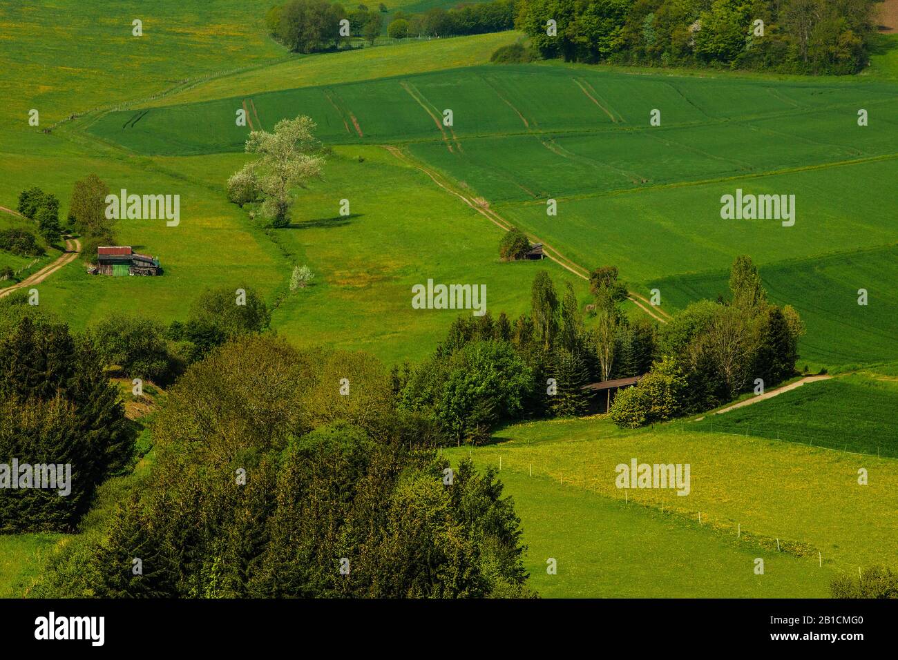 field landscape, Germany, North Rhine-Westphalia, Eifel Stock Photo - Alamy
