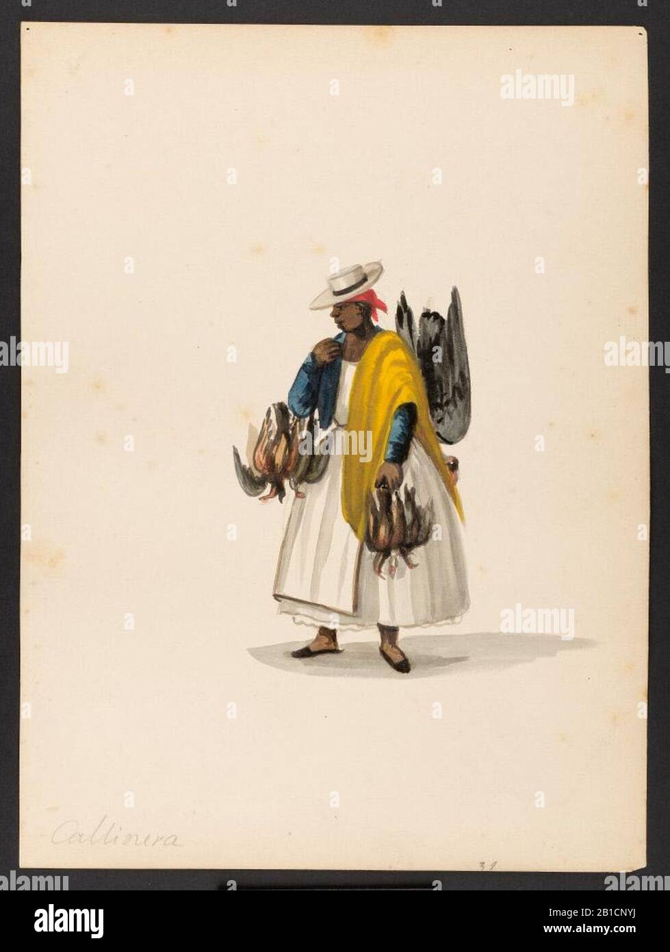 Gallinera hi-res stock photography and images - Alamy