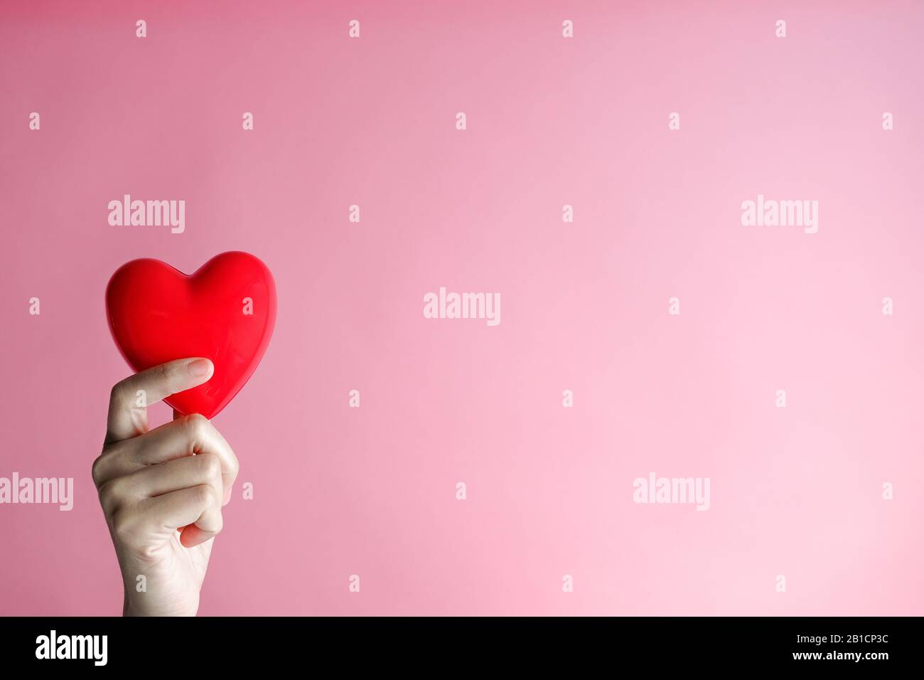 hand carrying heart .love and cardio health concept.valentine and ...