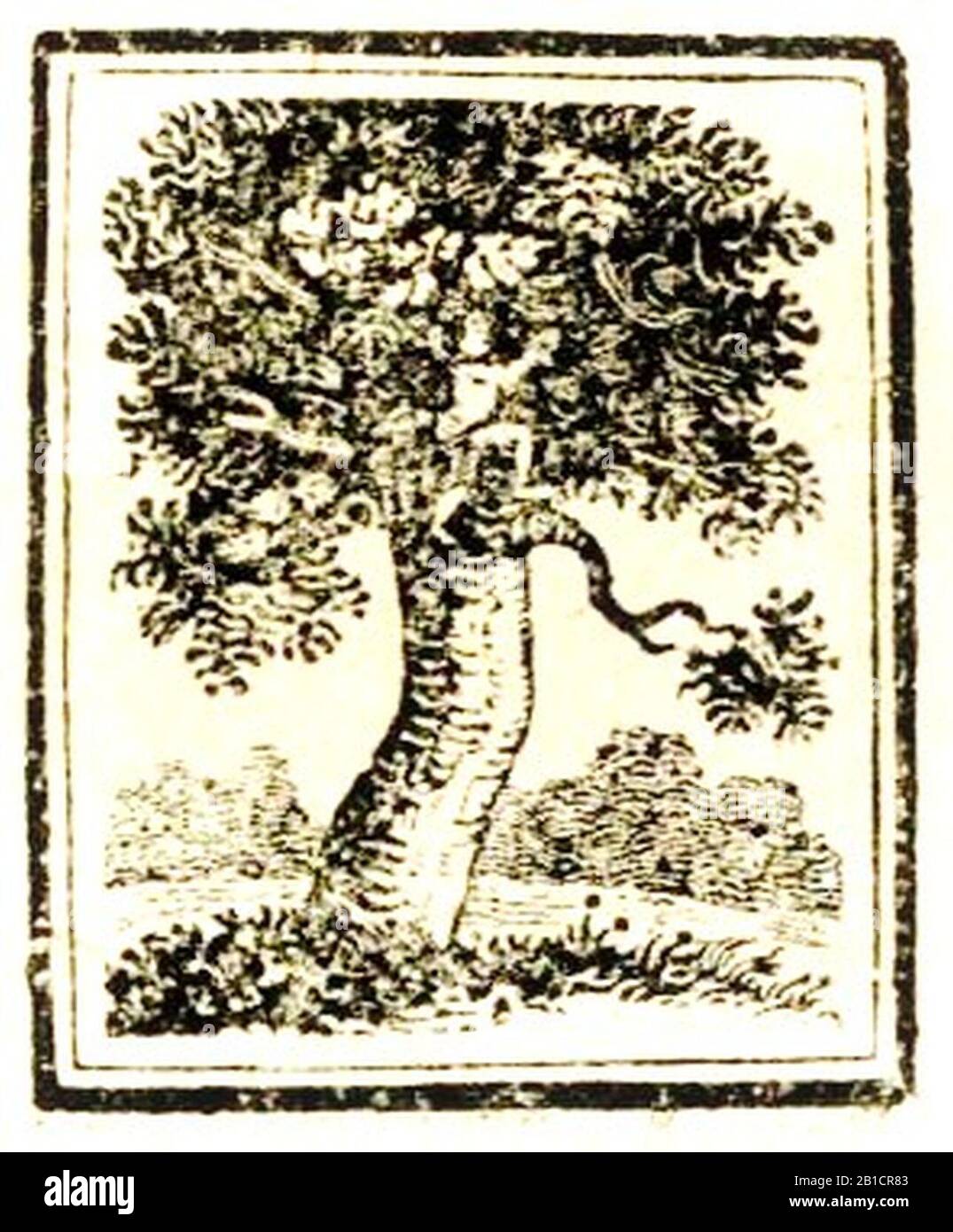 Gammer Gurton's garland of nursery songs and Toby Tickle's collection ...