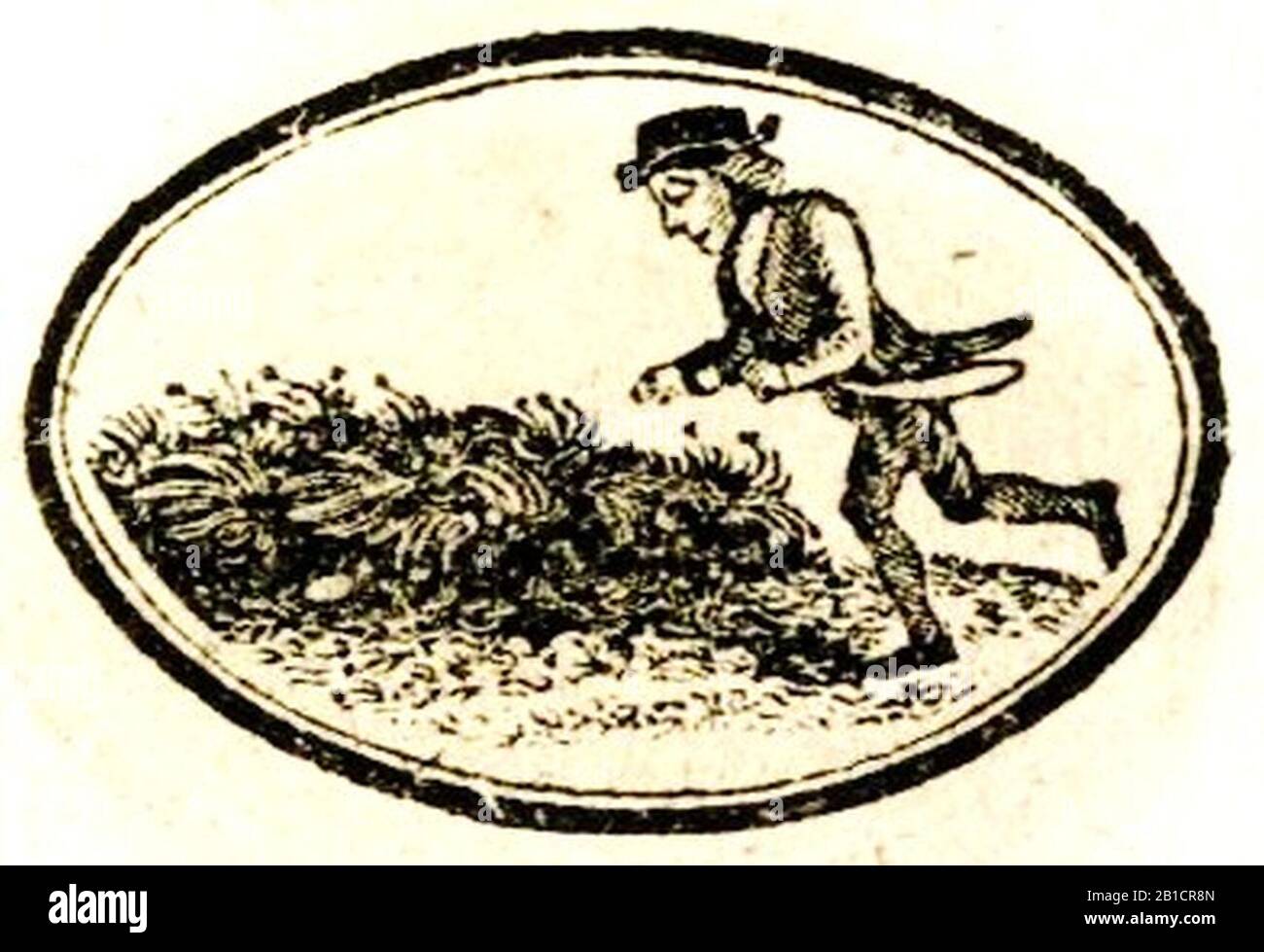 Gammer Gurton's garland of nursery songs and Toby Tickle's collection ...