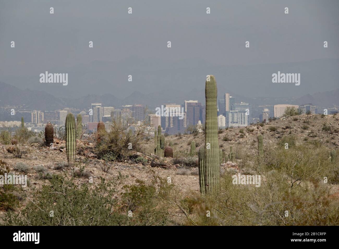 Downtown Phoenix Skyline High Resolution Stock Photography and Images ...