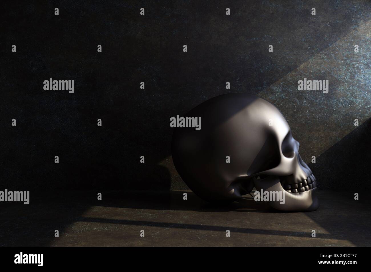 Human skull side view hi-res stock photography and images - Alamy
