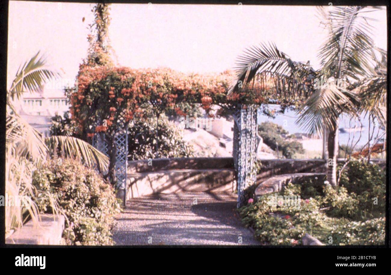 Garden in Madeira (Probably Reid's Hotel) with Pathway and Trellis by ...