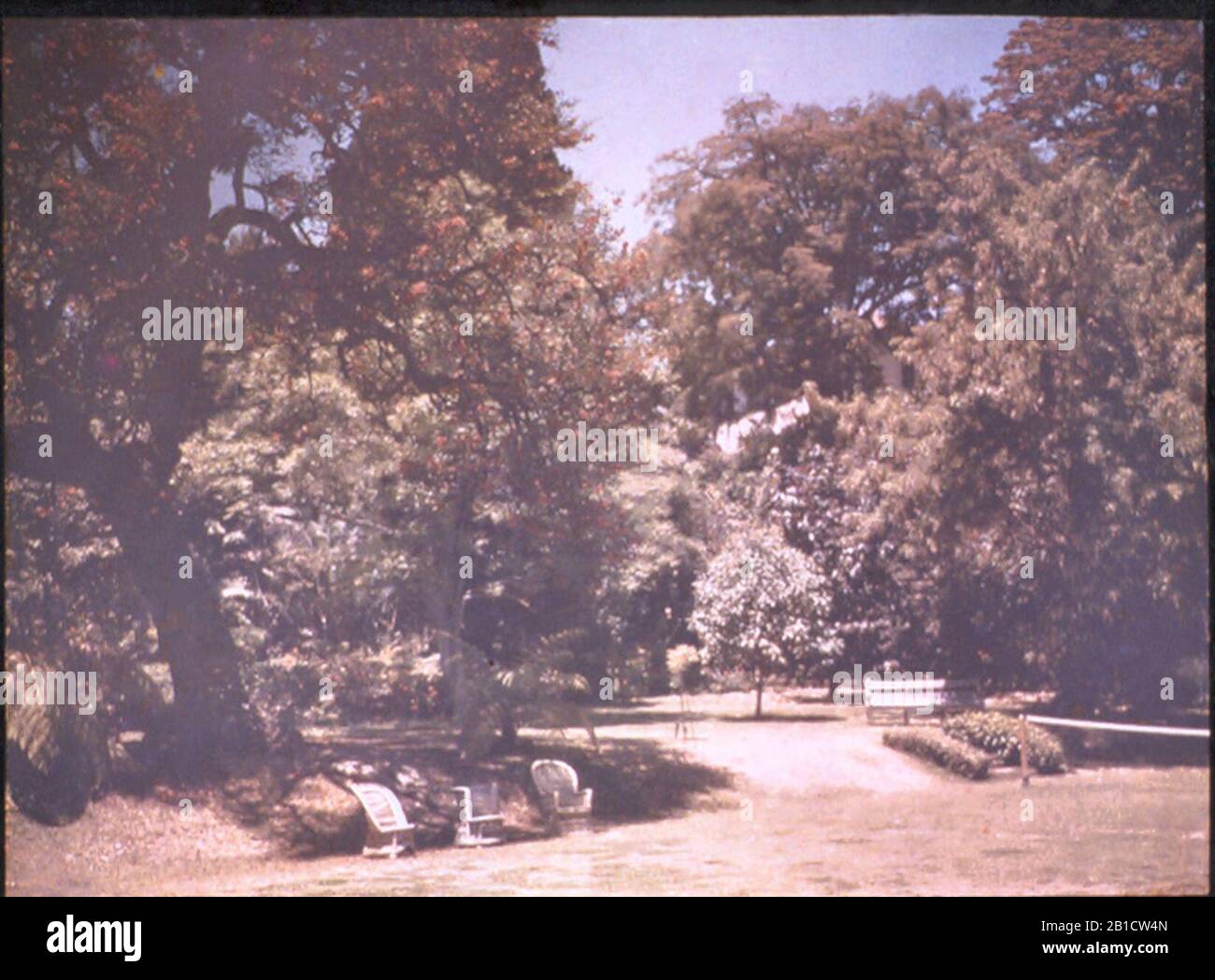 Sarah angelina acland hi-res stock photography and images - Alamy