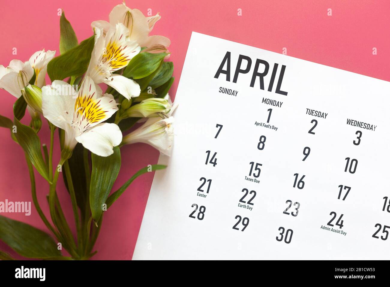 April monthly calendar with fresh spring flower on bright pink ...