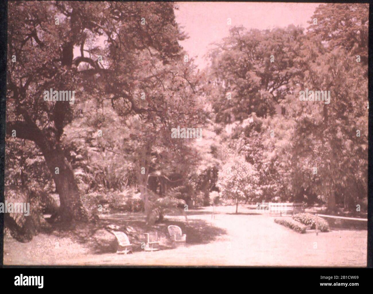 Sarah angelina acland hi-res stock photography and images - Alamy