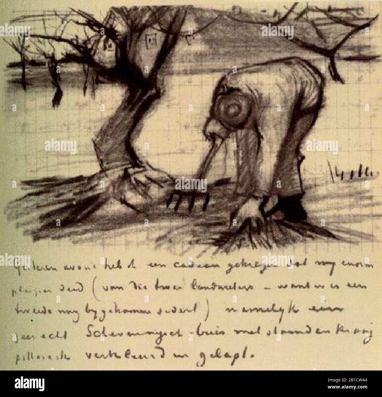 A gnarled apple tree hi-res stock photography and images - Alamy