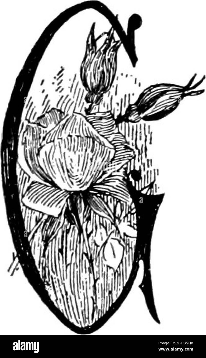 Lore Black and White Stock Photos & Images - Alamy