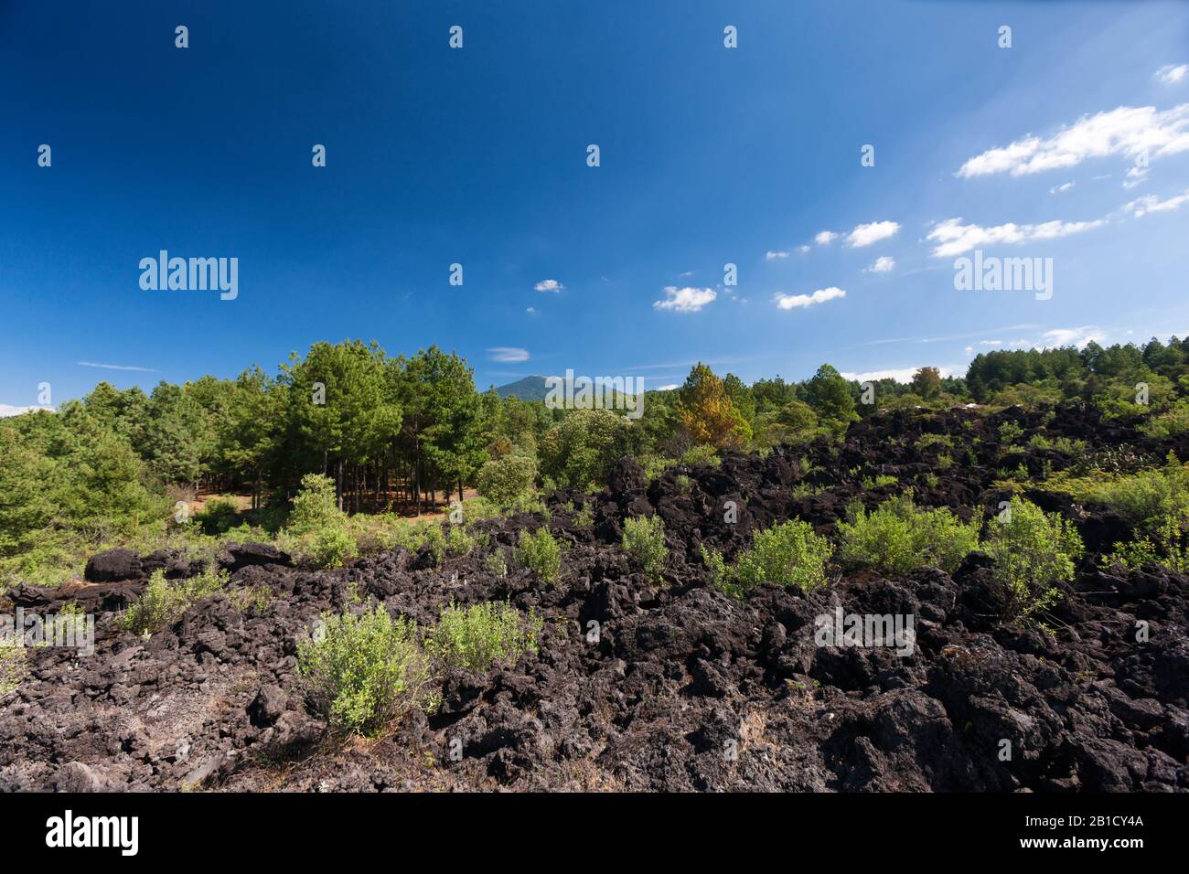 Paricutin volcano, and Lava field, state of Michoacan, Mexico, Central ...