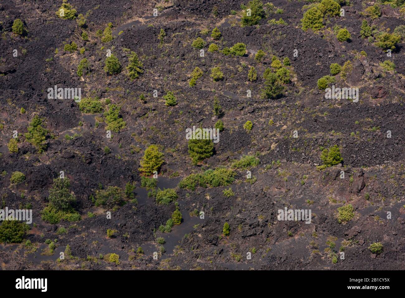 Lava field, Paricutin volcano, state of Michoacan, Mexico, Central ...