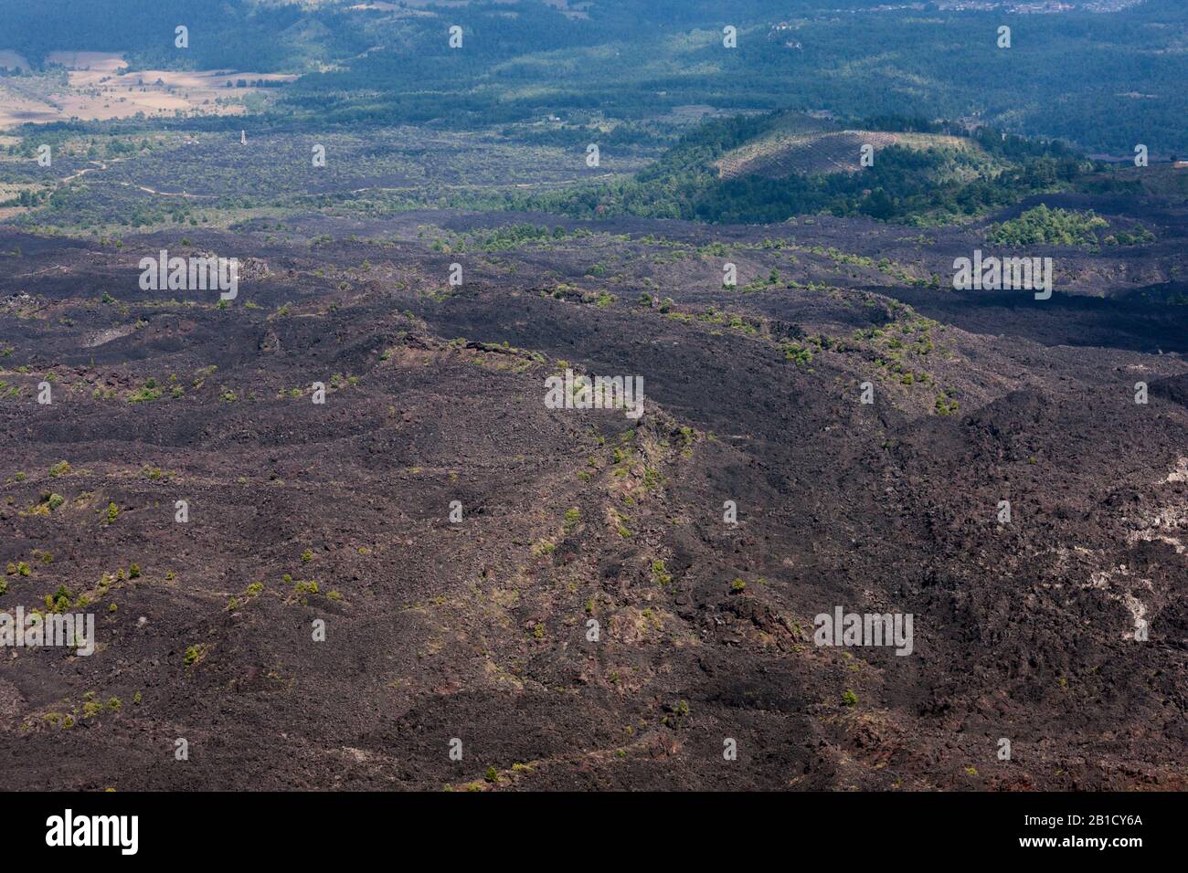 Lava field, Paricutin volcano, state of Michoacan, Mexico, Central ...