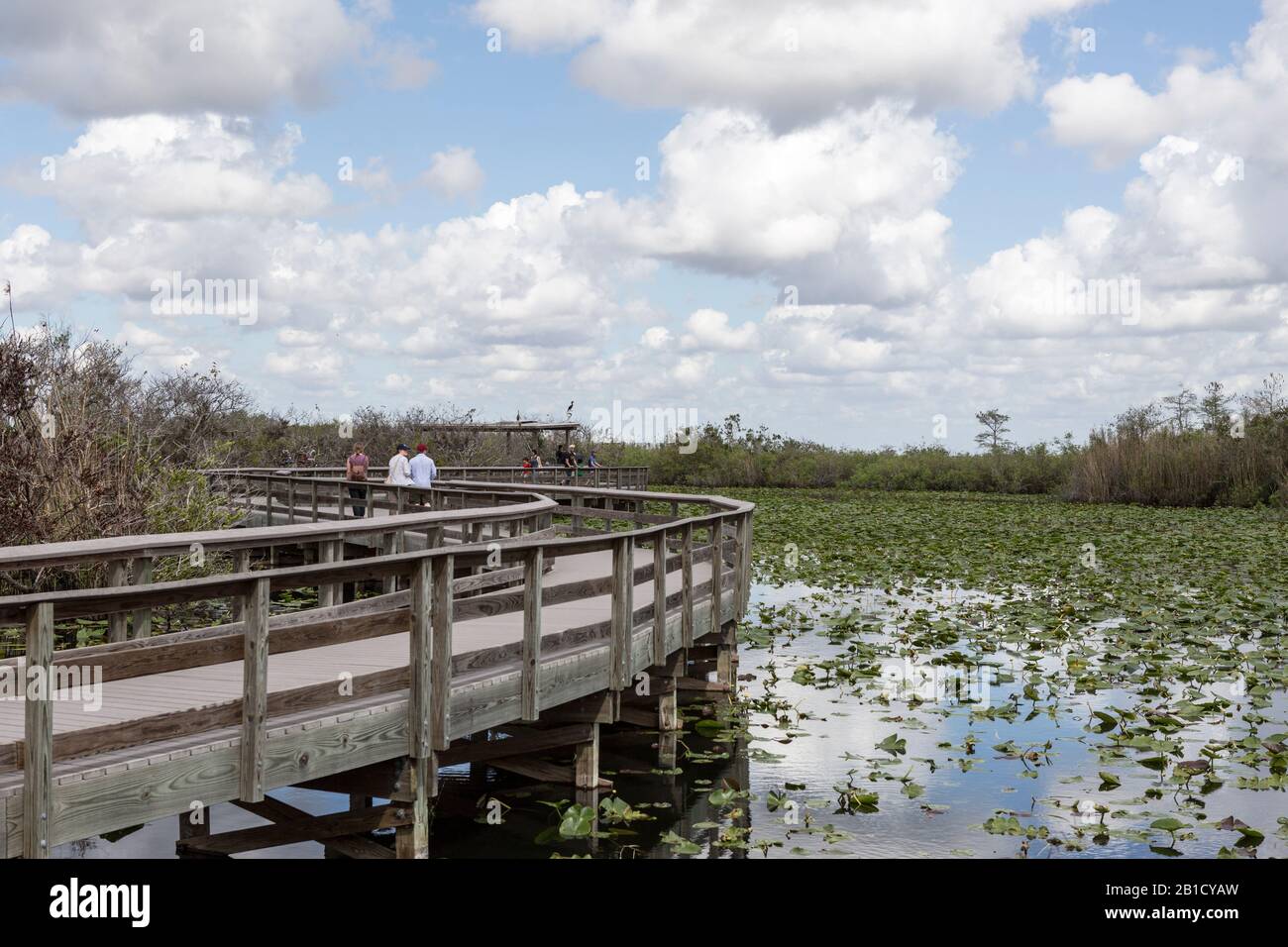People on an elevated boardwalk above a pond in the Everglades National ...