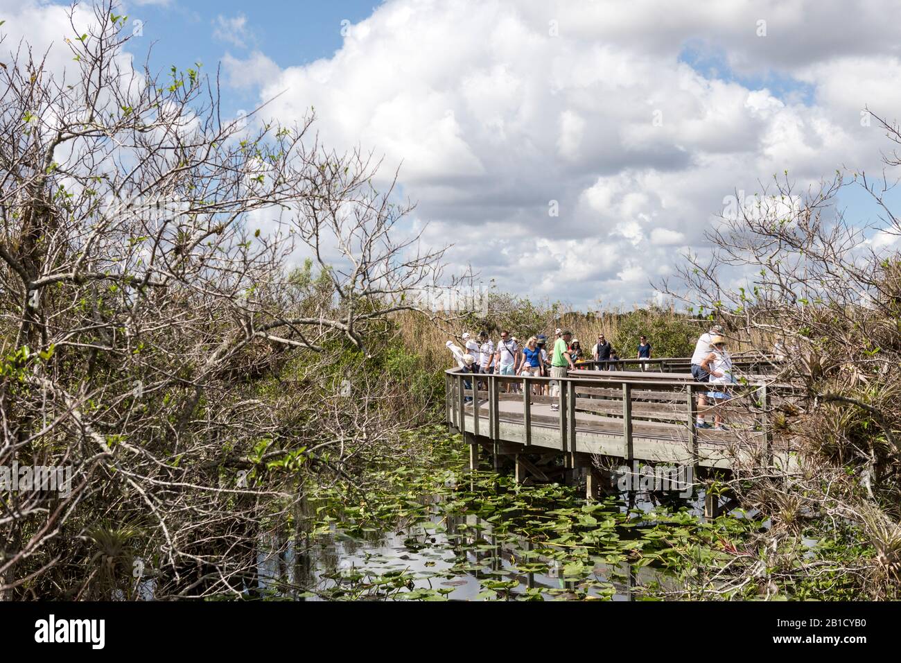 Tourists sightseeing in the wetlands in the Everglades National Park ...
