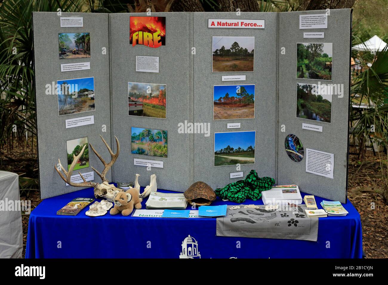 display or poster presentation on natural fire Stock Photo - Alamy