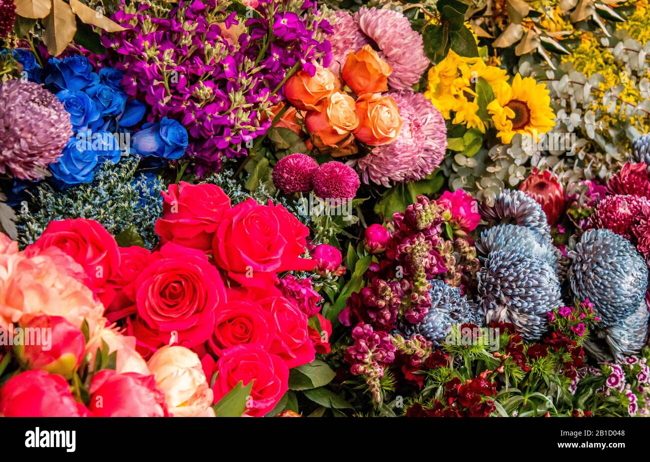 Brightly coloured cut flowers ideal as floral background Stock Photo ...