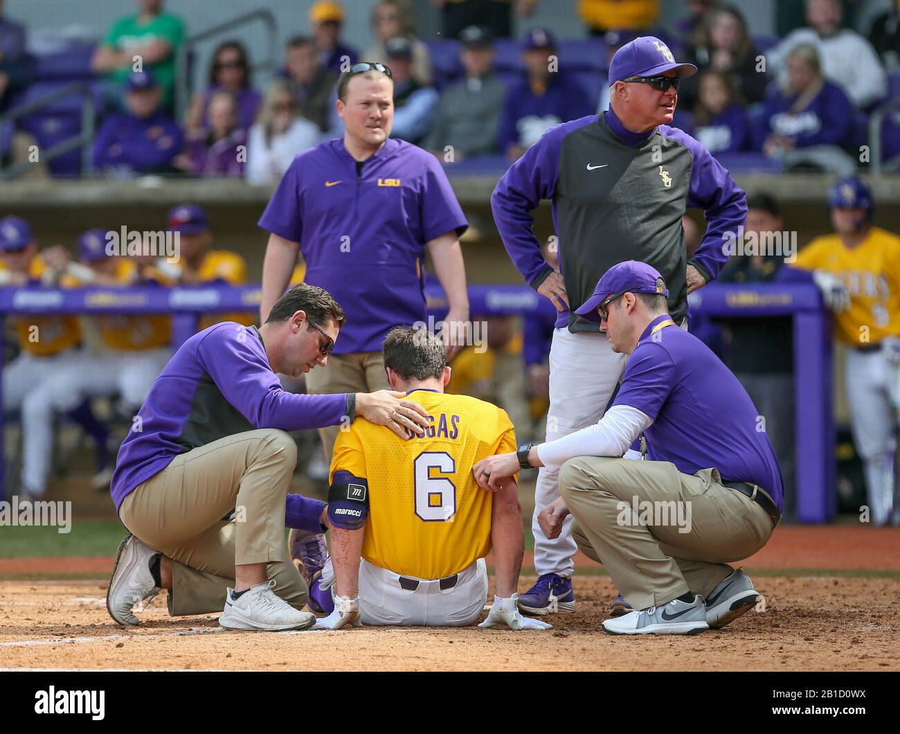 Baton Rouge, LA, USA. 23rd Feb, 2020. LSU Head Coach Paul Mainieri ...