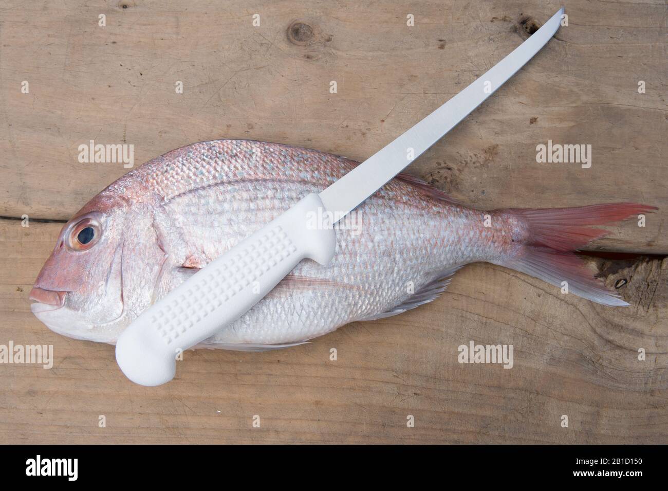 Snapper and filleting knife Stock Photo - Alamy