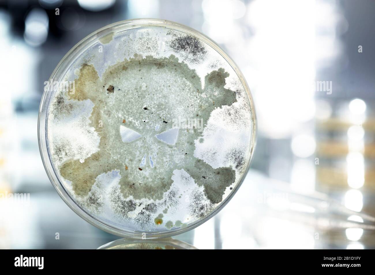 Petri dish growing bacteria in the shape of a skull and crossbones ...