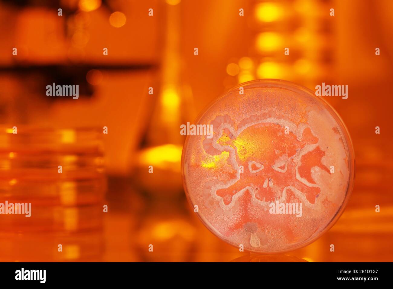 Petri dish growing bacteria in the shape of a skull and crossbones ...