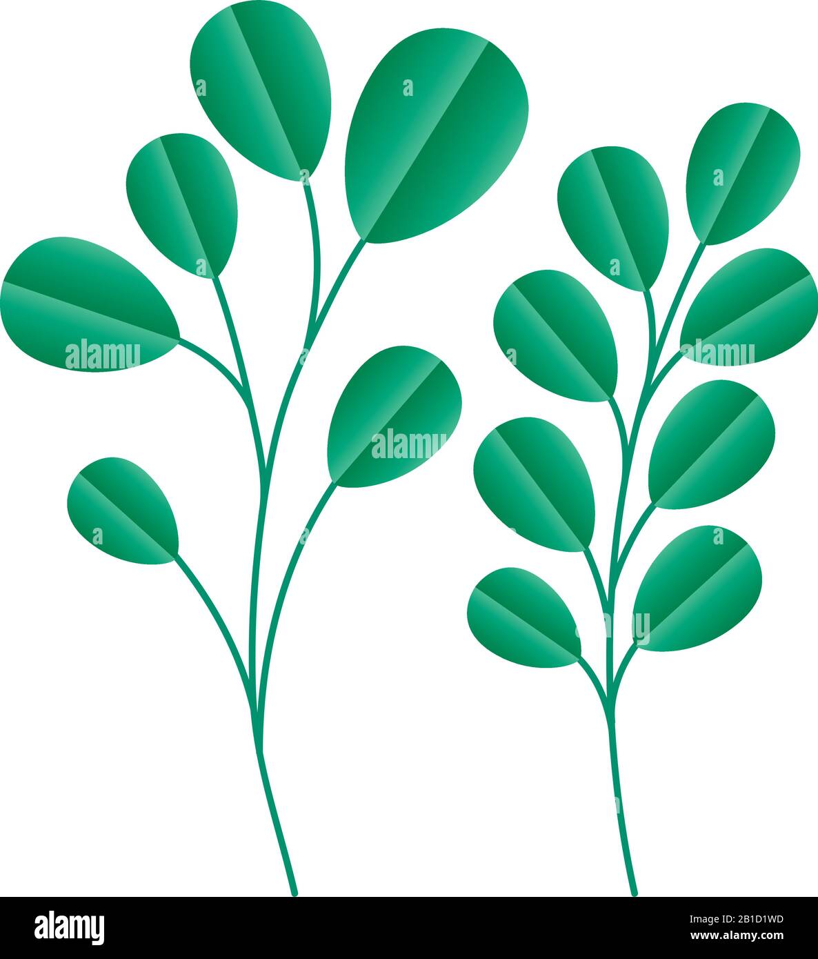 Isolated natural leaves vector design Stock Vector Image & Art - Alamy