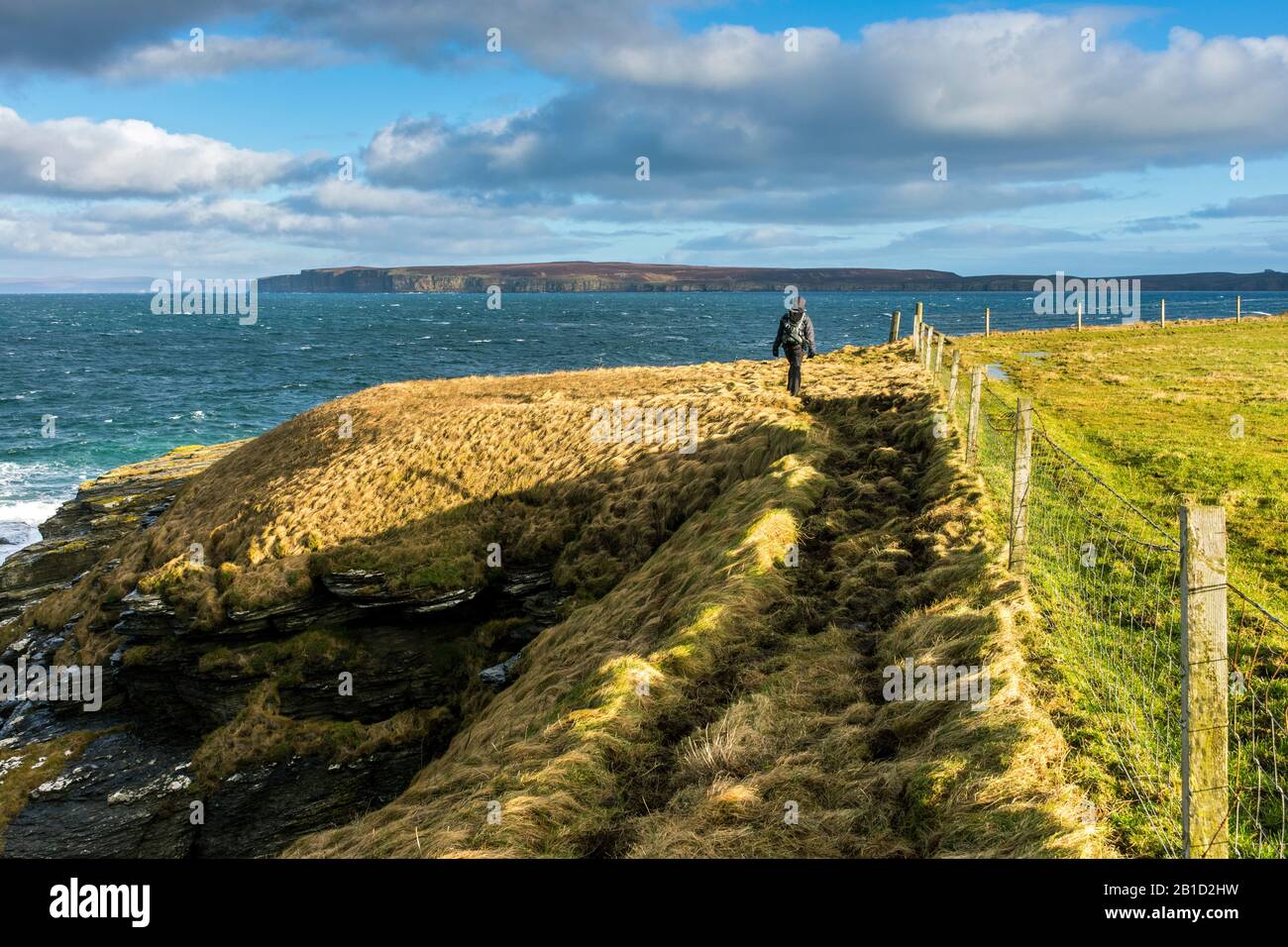 A walker near Murkle Bay on the coastal path between Thurso and Dunnet ...