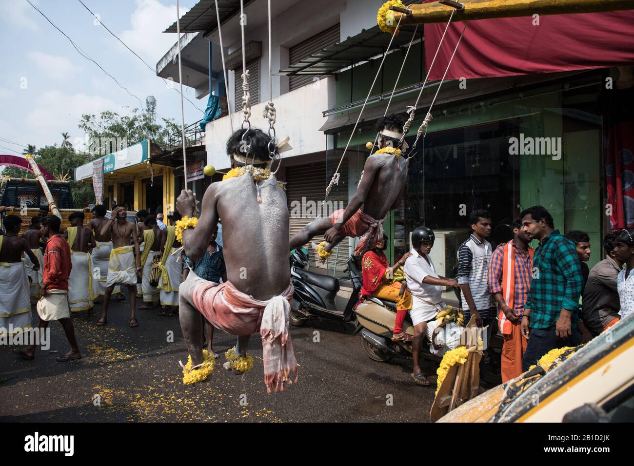 Devotees hanging by hooks piercing their skin as a ritualistic act of ...