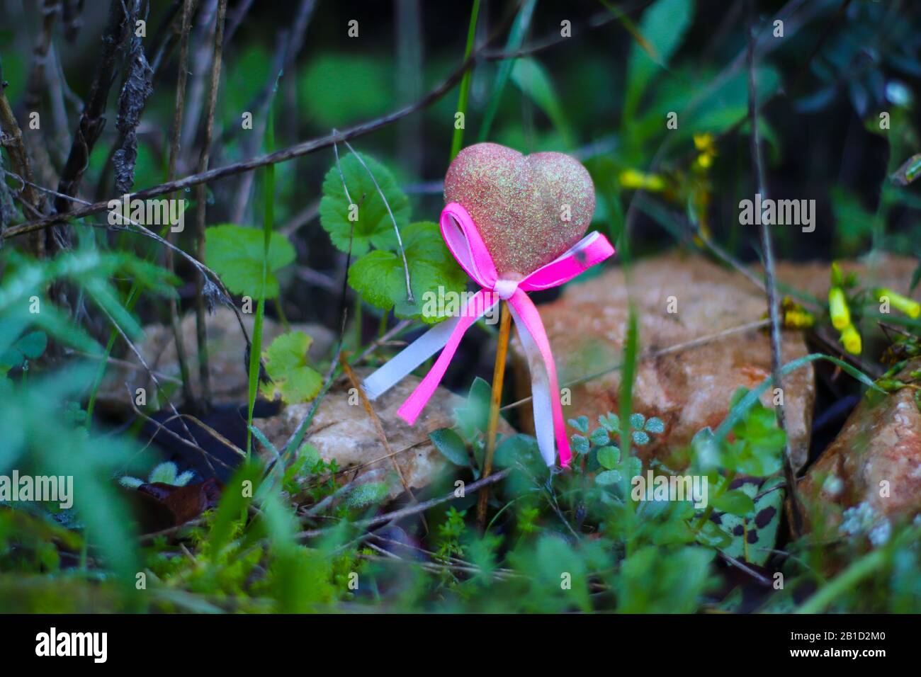Nice symbol photo love hi-res stock photography and images - Alamy
