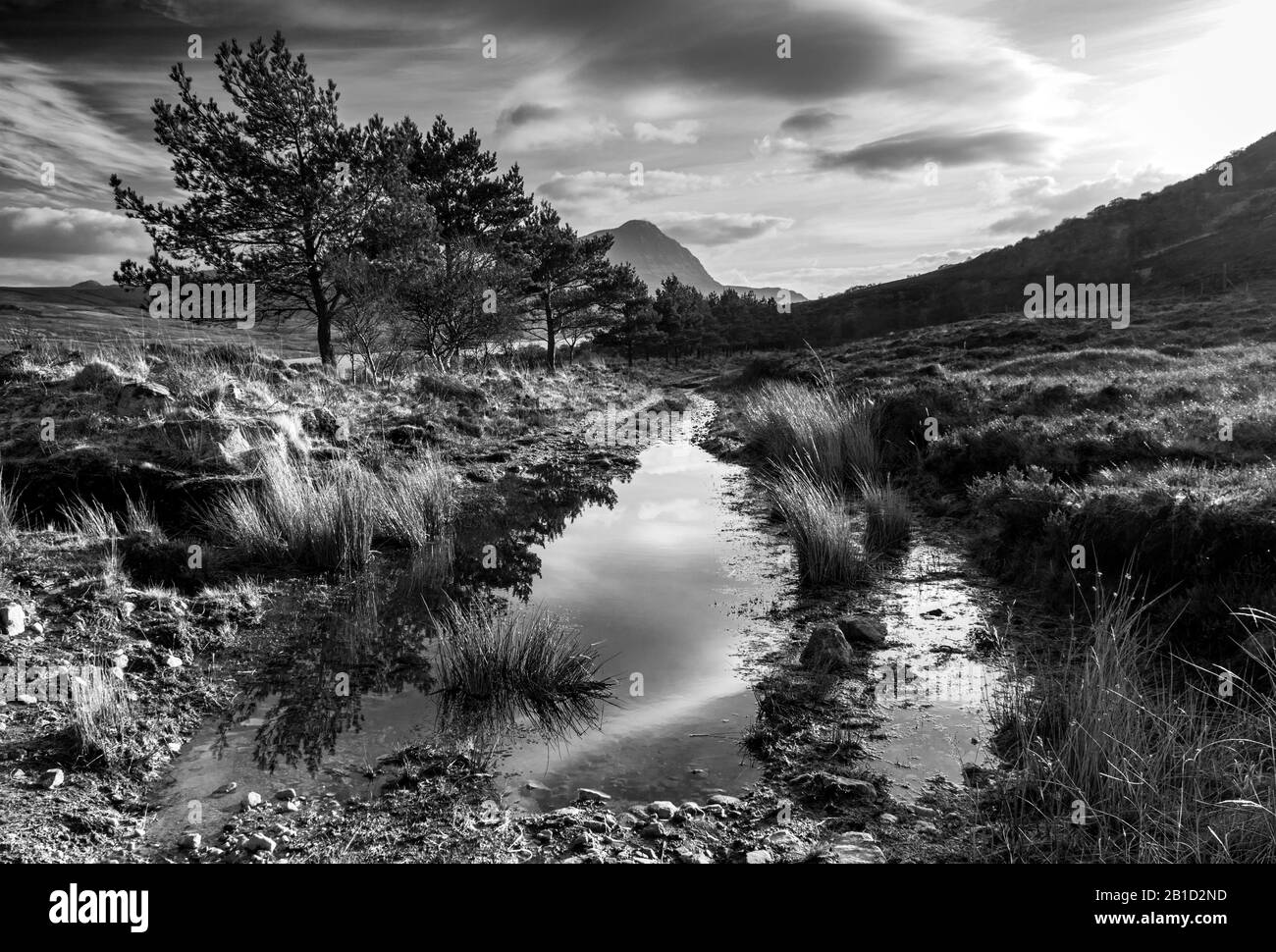 Ben Hope from the Loch Hope Woodlands track, Sutherland, Scotland, UK ...