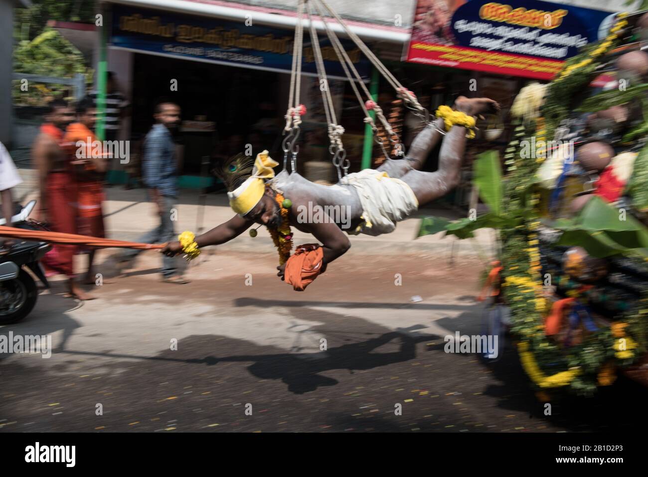 Devotee hanging by hook piercings as a ritualistic act of devotion ...