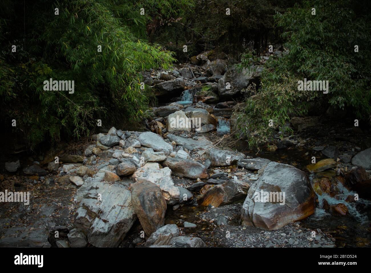 Planetisalive hi-res stock photography and images - Alamy