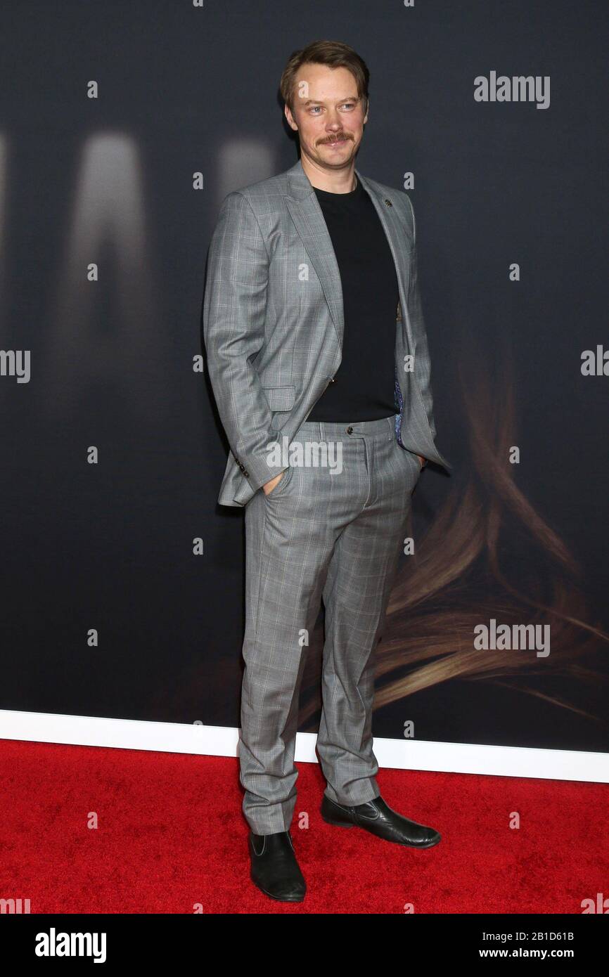 Los Angeles, CA. 24th Feb, 2020. Michael Dorman at arrivals for THE ...