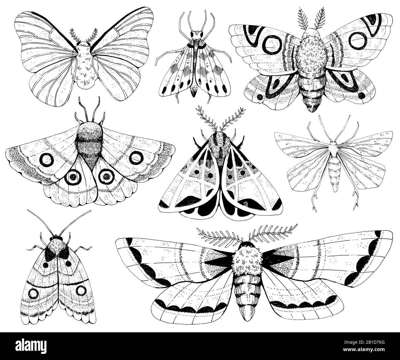 Beautiful mystic vintage collection black ink moth. Set of butterflies ...