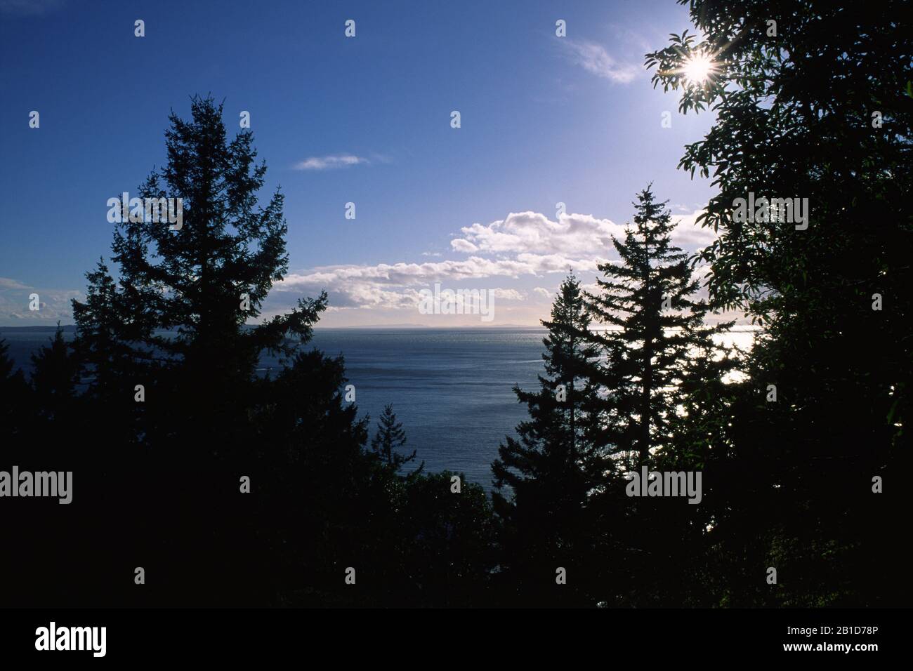 Crippen hi-res stock photography and images - Alamy
