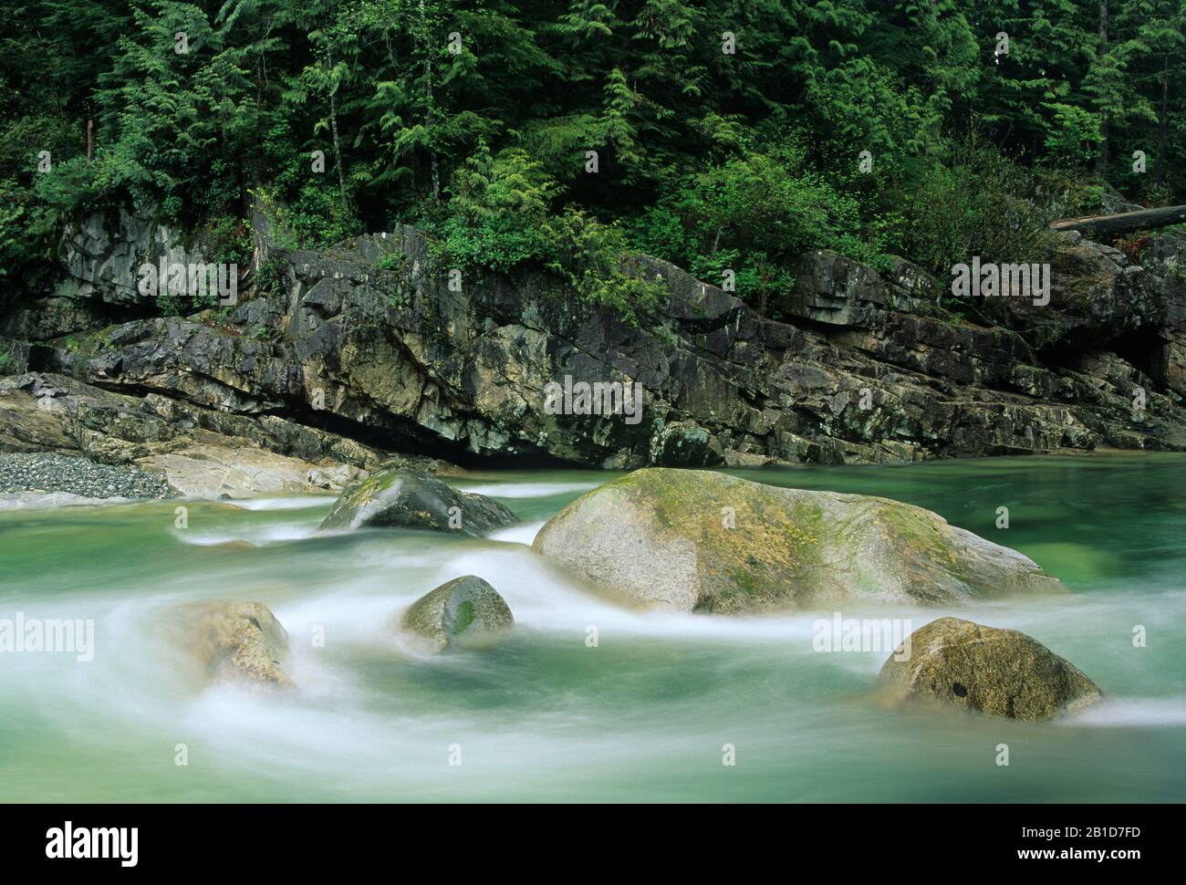 Gold Creek, Golden Ears Provincial Park, British Columbia, Canada Stock ...